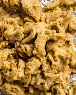 Vegan Seitan Chicken (Washed Flour Method) - Romy London