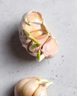 How To Tell if Garlic Is Bad (& how long to store) - Romy London