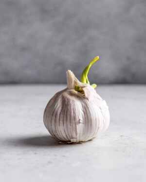 How To Tell if Garlic Is Bad (& how long to store) - Romy London