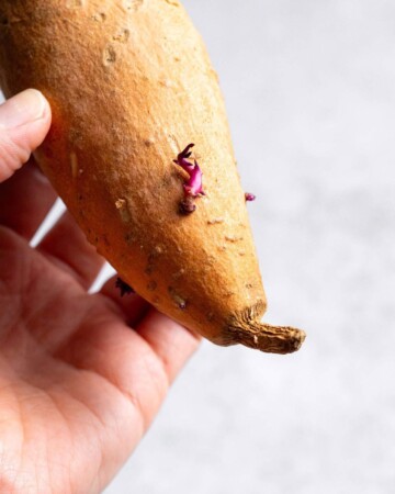 How To Tell if a Sweet Potato is Bad? (with Photos + Storage Tips)