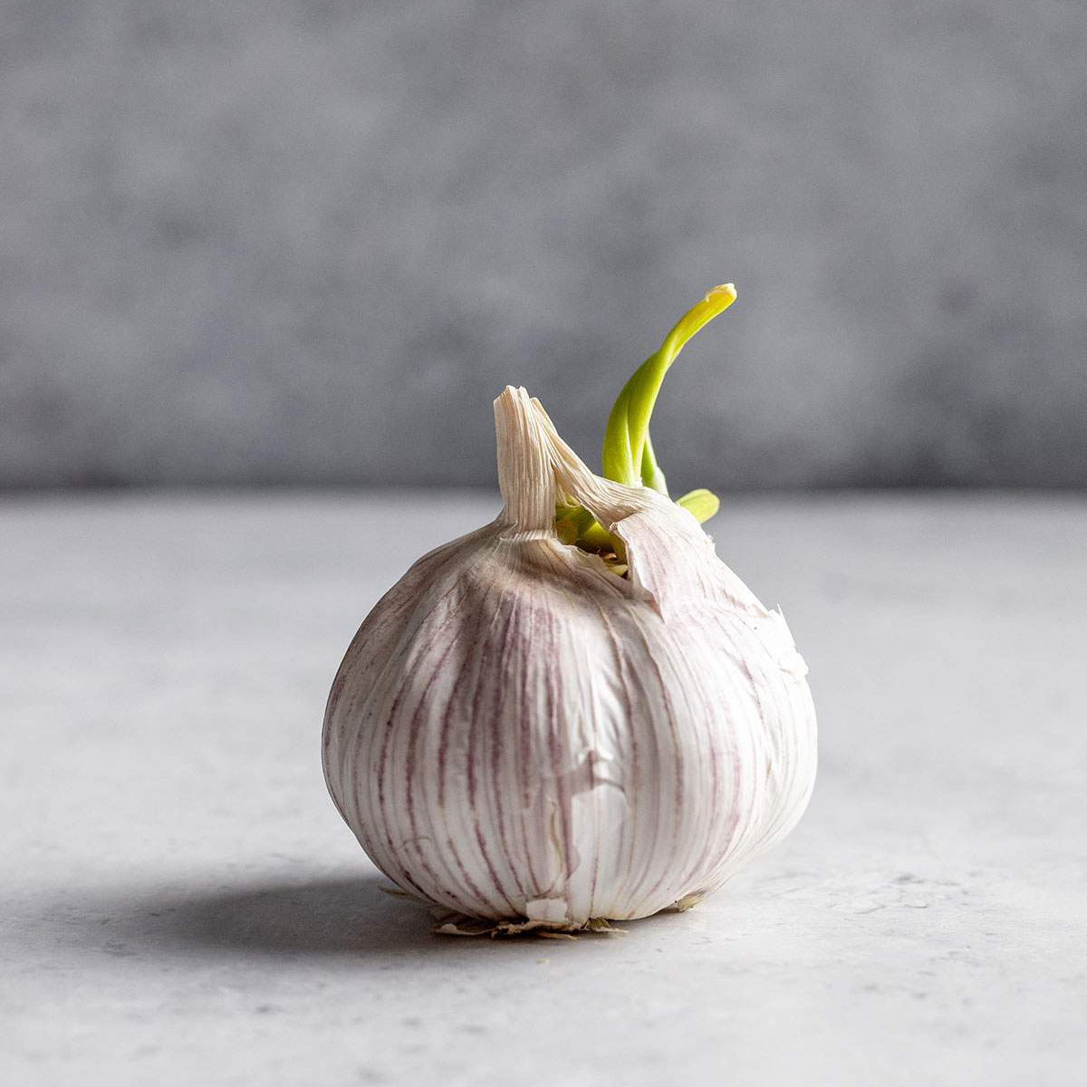 How To Tell if Garlic Is Bad (& how long to store) - Romy London